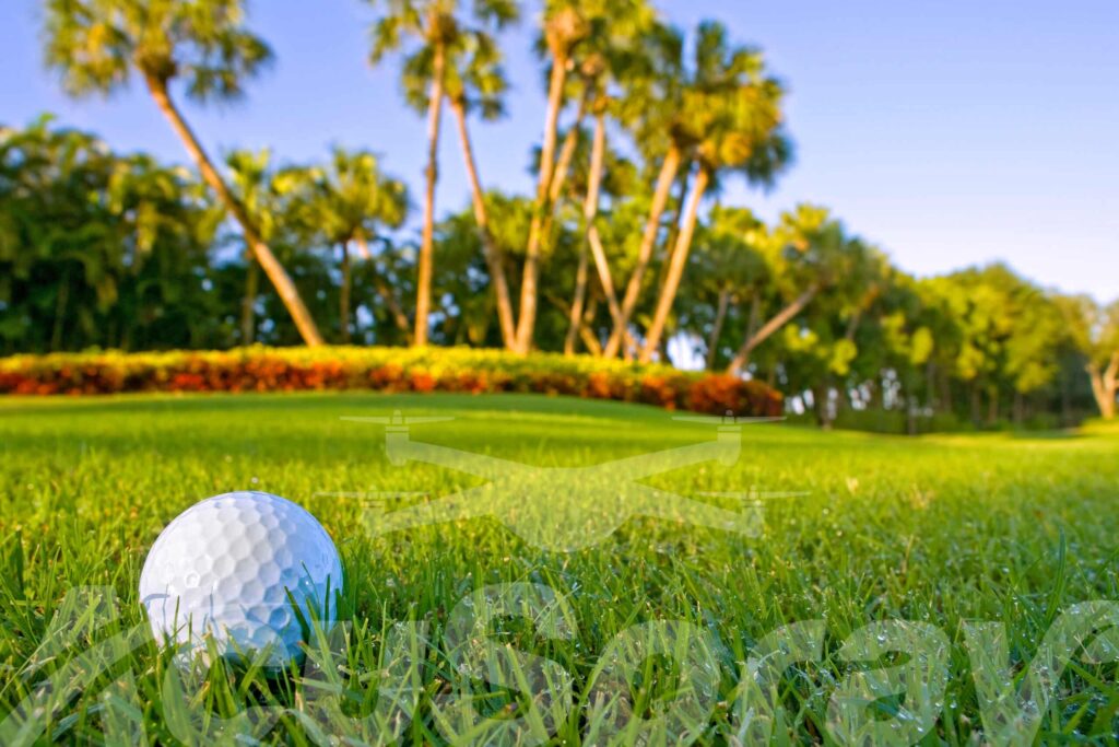 Tackling Turf Diseases in the Southeastern U.S. - AcuSpray